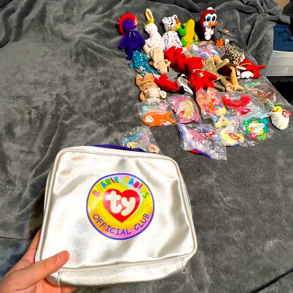 Ty | Toys | Ty Beanie Babies Mix Lot 29pcs And Oficial Ty Bag | Poshmark